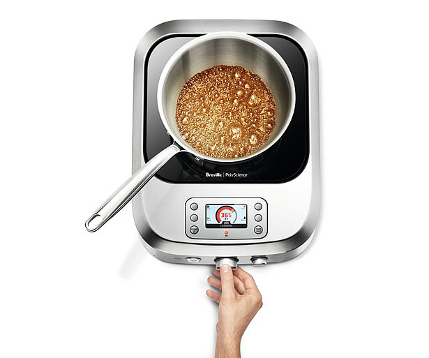 Control Freak – Temperature Controlled Induction Cooking System for ...