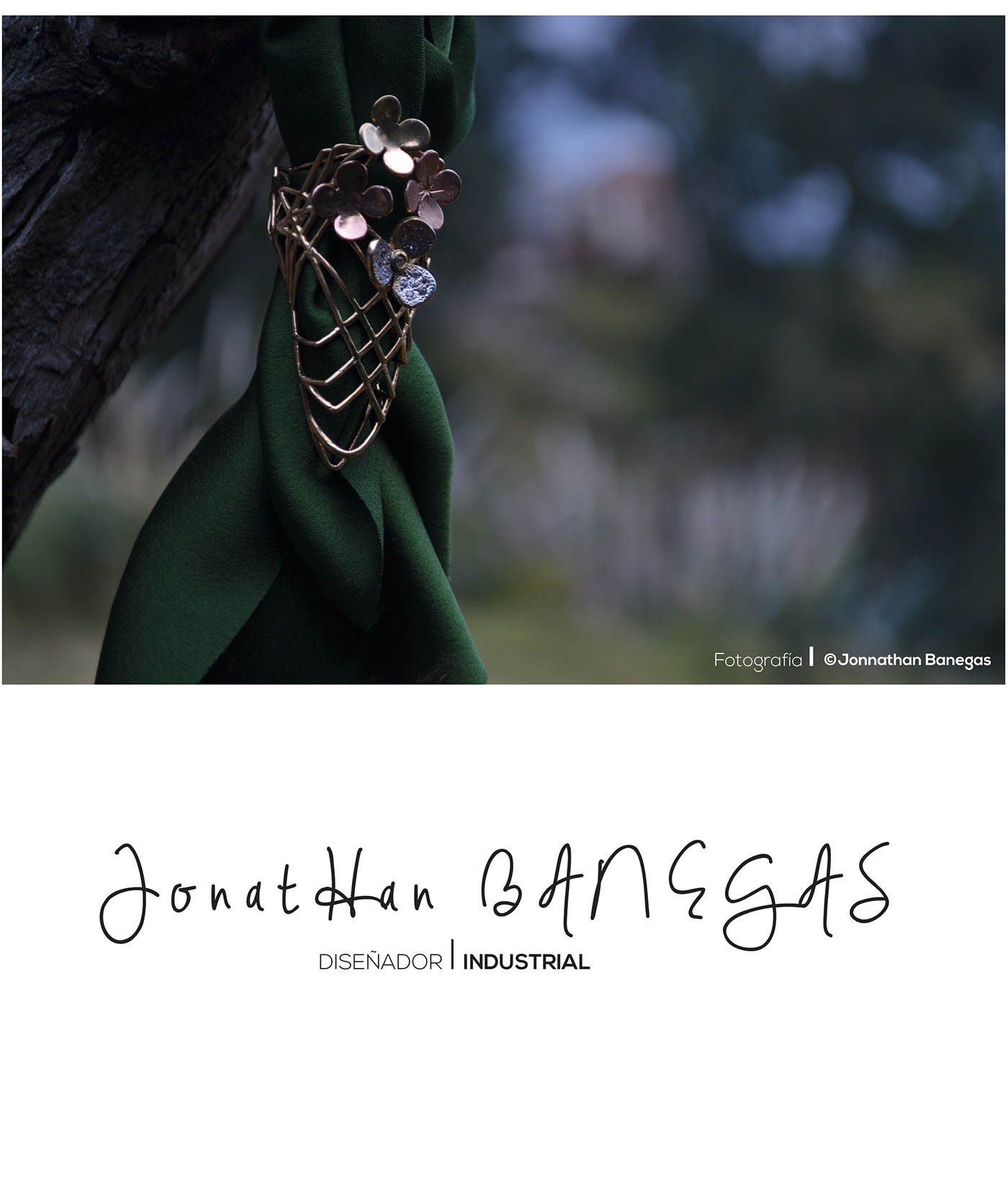 Colección Orquídeas / Collection Orchids (Part 2) - 普象网
