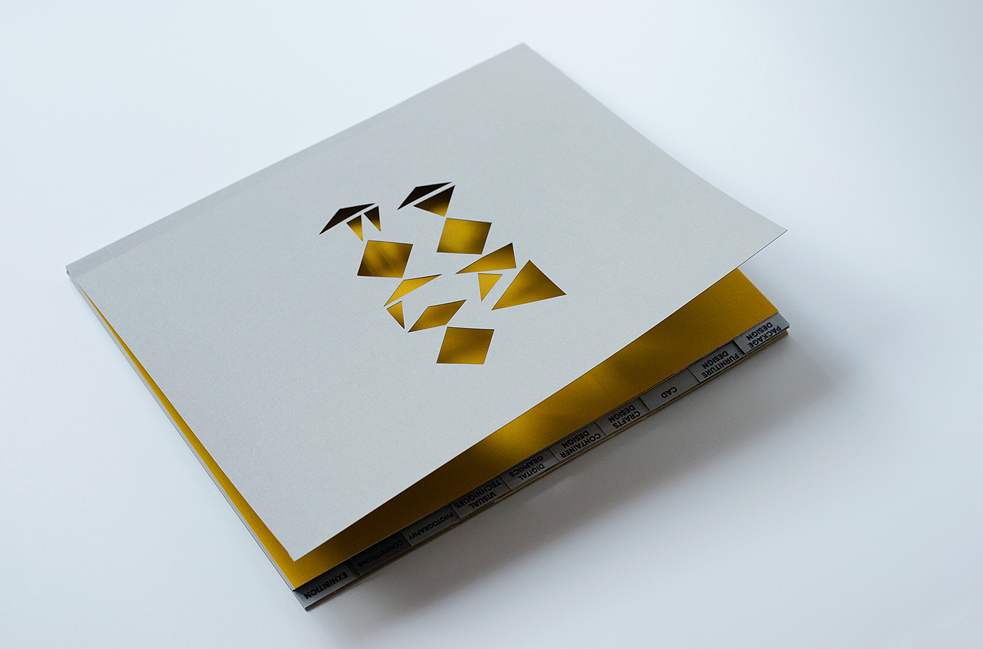 Portfolio Book | Layout Design - 普象网