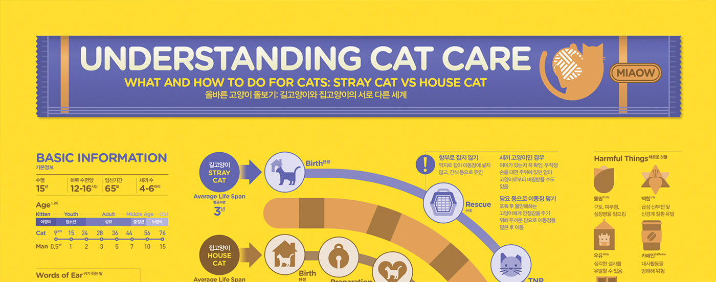 1806 Understanding Cat Care Infographic Poster - 普象网