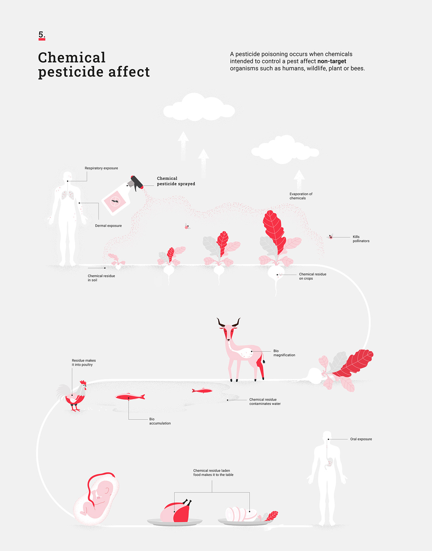 Sustainable Pesticide Project | System Design - 普象网