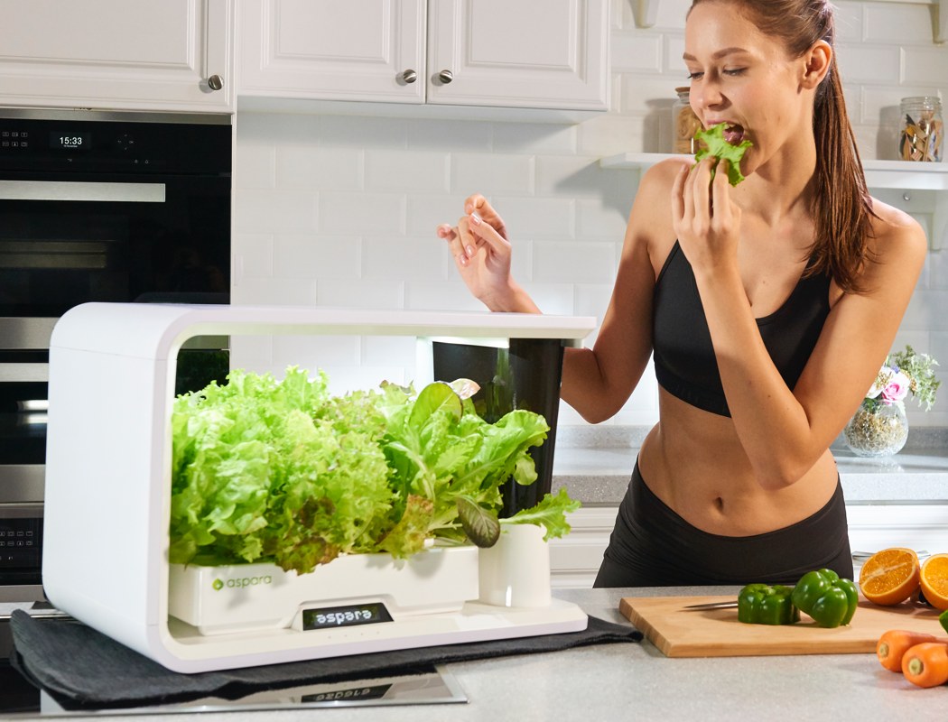 Produce Fresh Vegetables in The Comfort of Your Home! - 普象网