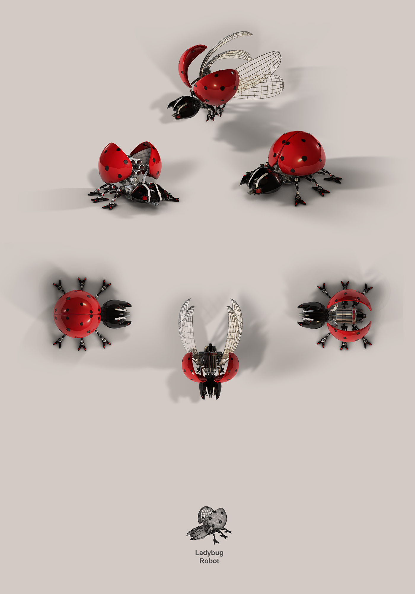 Ladybug Robot 2.0 - 普象网