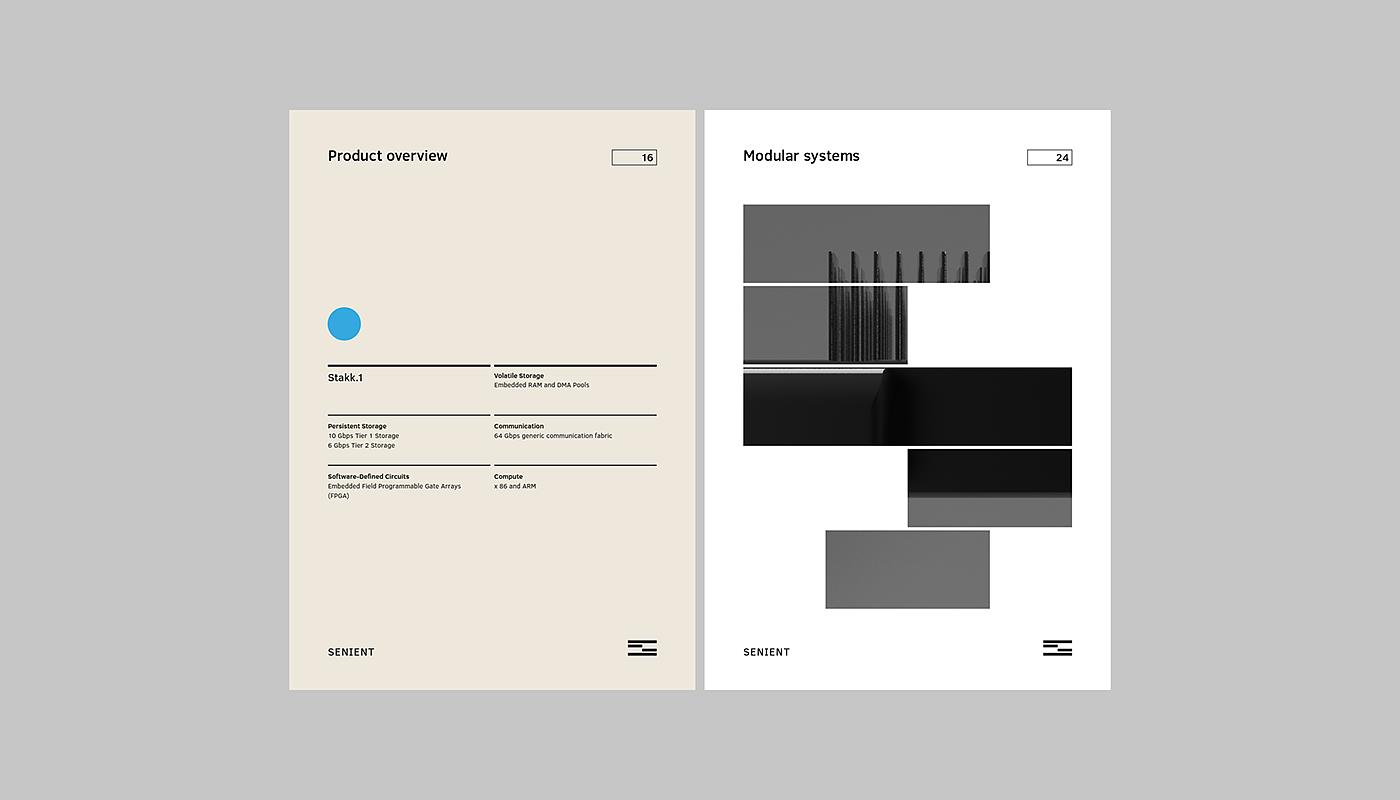 Senient Systems - 普象网