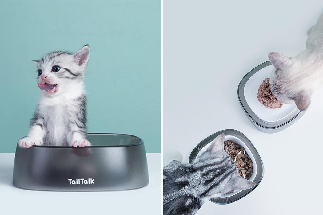 This flipping cat bowl avoids food spillage wet + dry meals, and ...