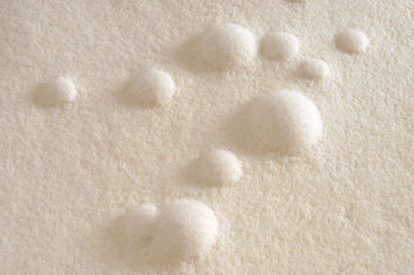 feelology - 普象网