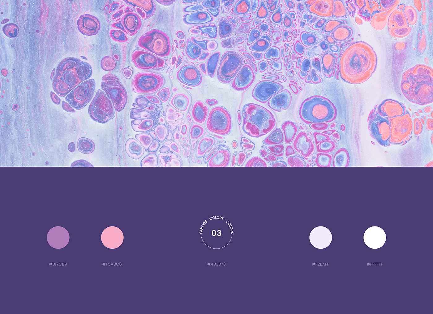 Personal portfolio website - 普象网