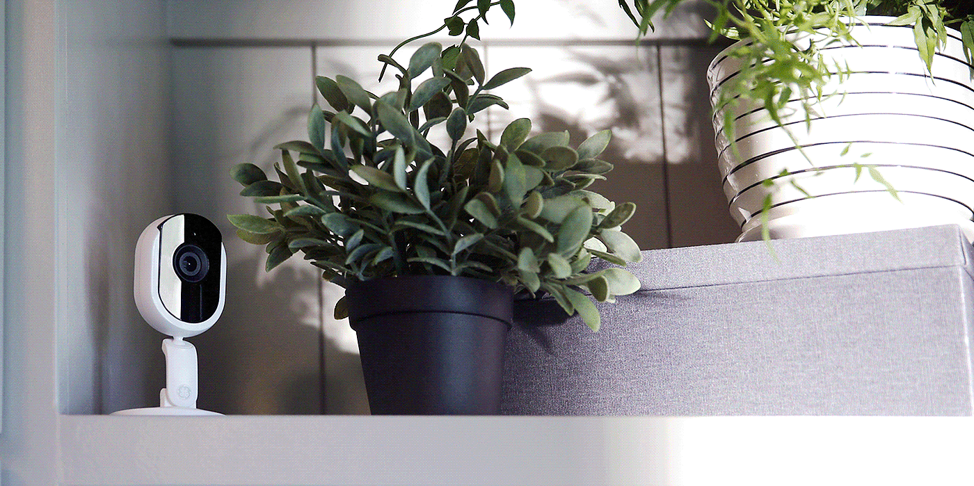 Cync Indoor Camera - 普象网