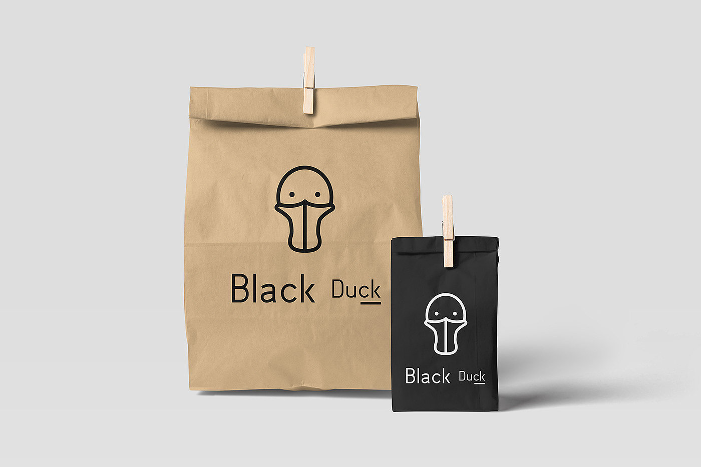 Black Duck - 普象网