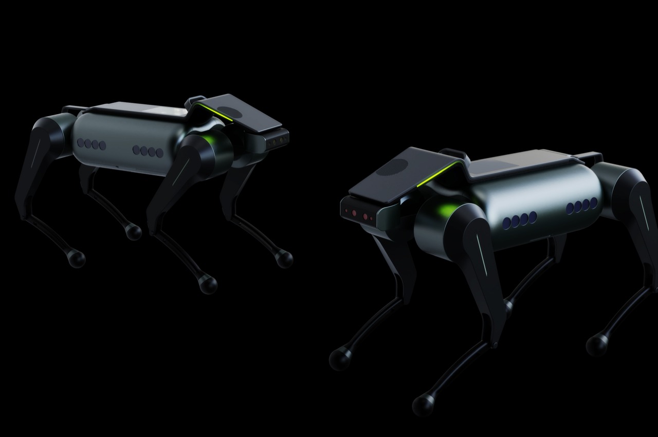 Domestic Robots are a new frontier for Industrial Designers: Whipsaw ...