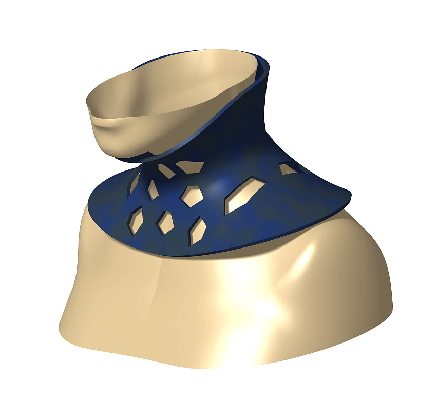 Aesthetic Neck Brace - 普象网