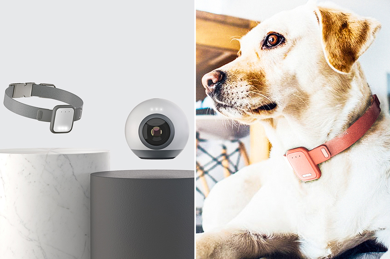These IoT pet devices uses smart technology to allow owners to interact ...