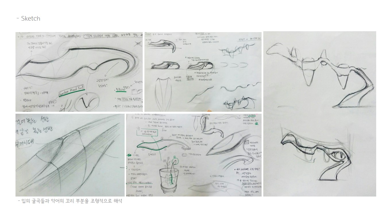 김선진 Organic Form - 普象网