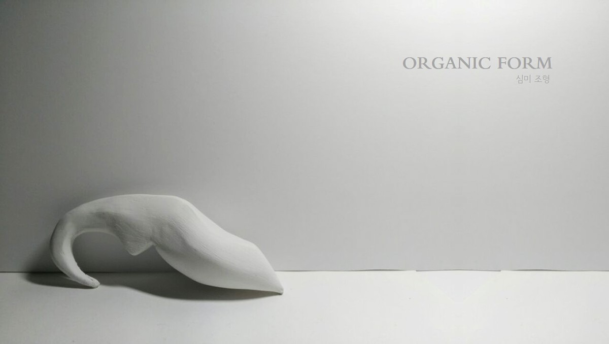 김선진 Organic Form - 普象网