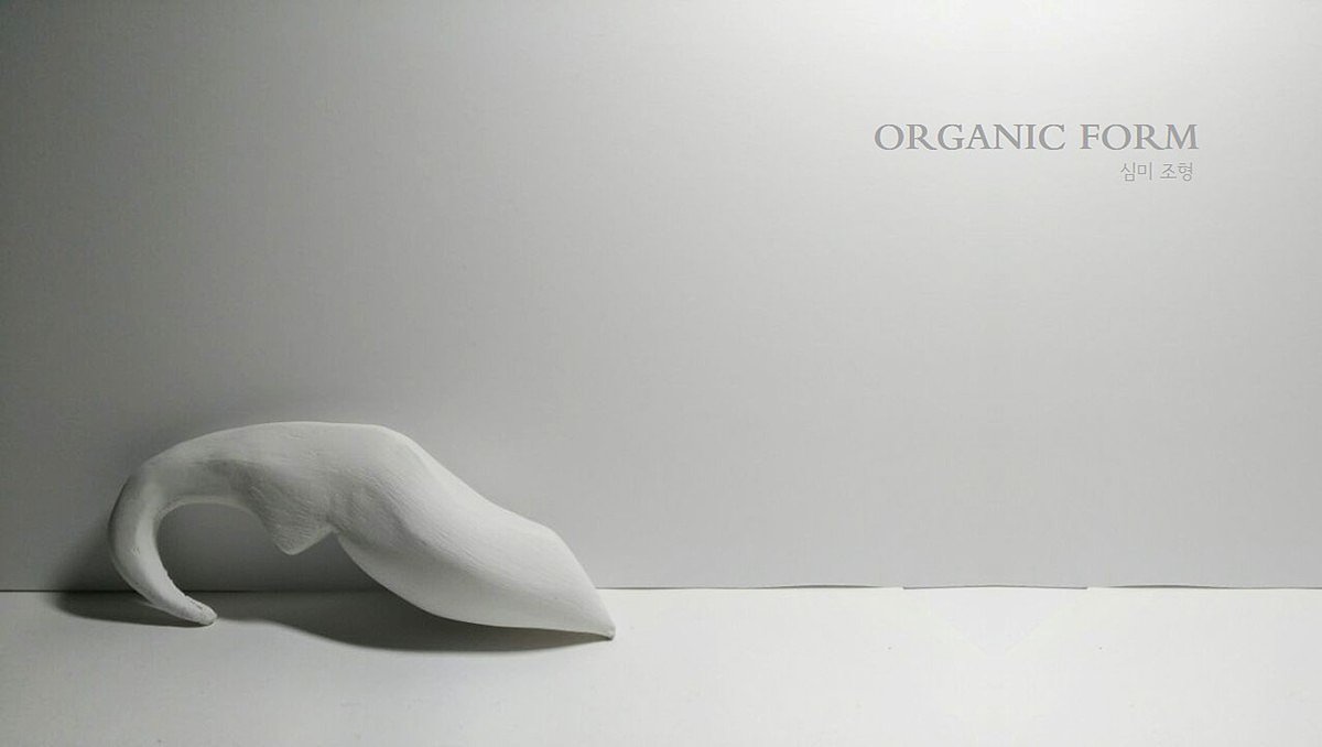 김선진 Organic Form - 普象网