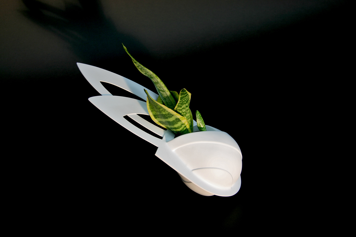 Form Studies - 普象网