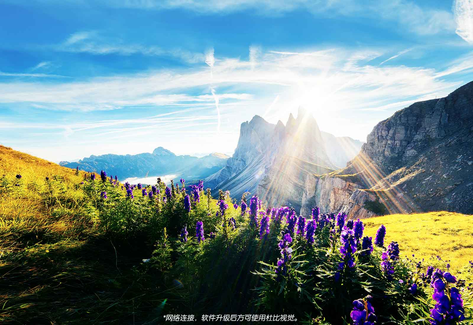 LG电视 86吋 LG Prime UHD TV 4K#N# - 普象网