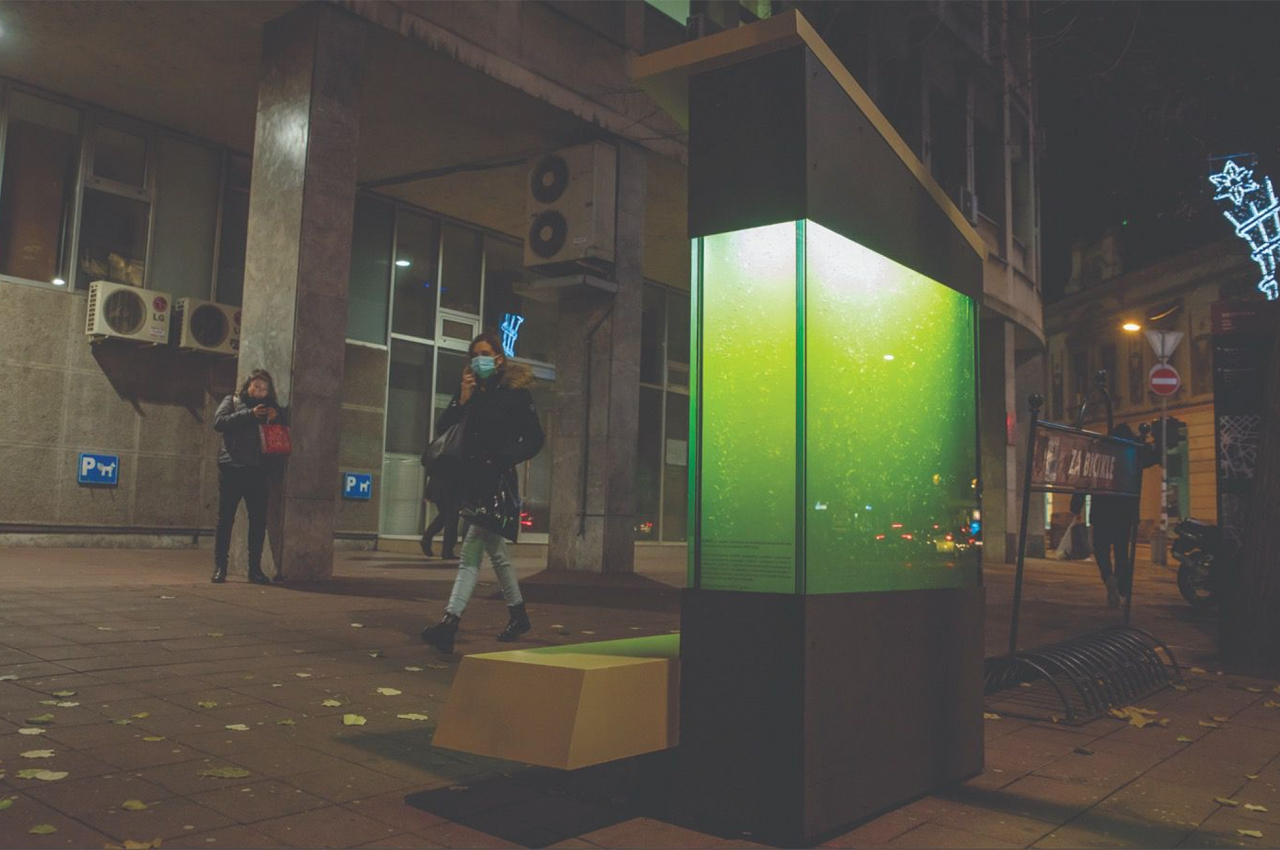 Serbian scientists install an urban photo-bioreactor to capture CO2 and ...