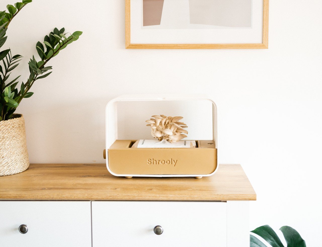 This wonder box lets you easily grow nature’s miracle food right inside ...