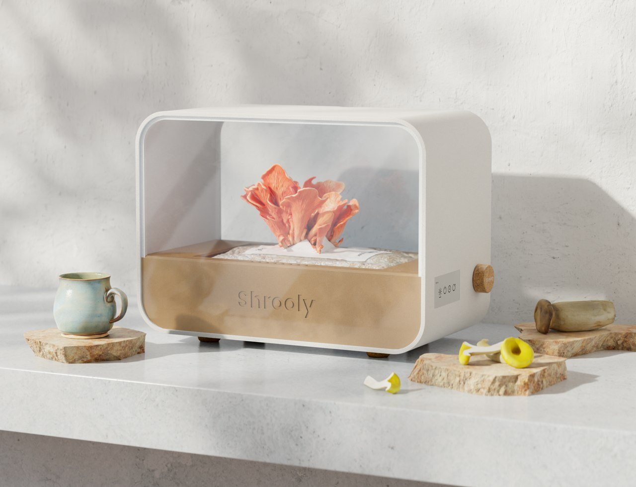 This wonder box lets you easily grow nature’s miracle food right inside ...