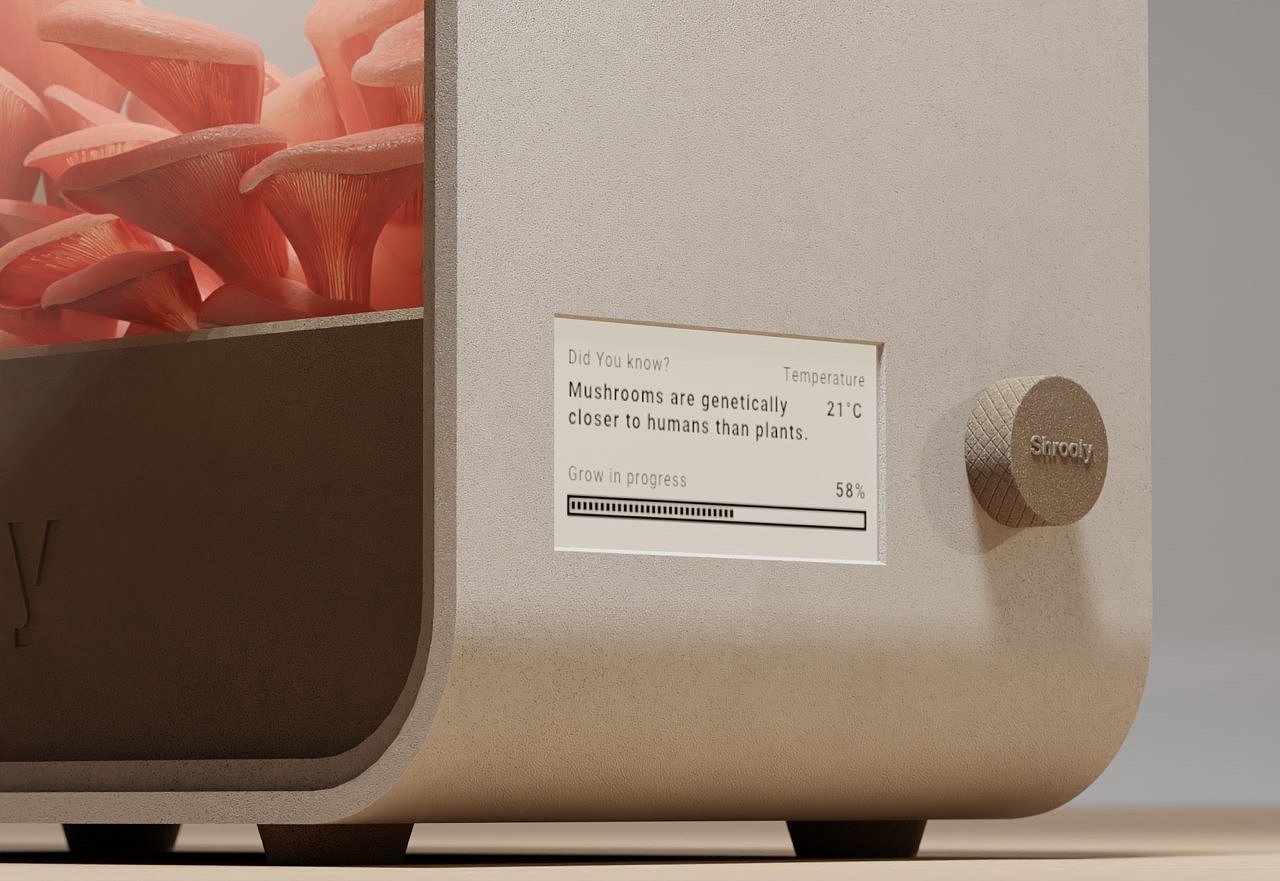 This wonder box lets you easily grow nature’s miracle food right inside ...