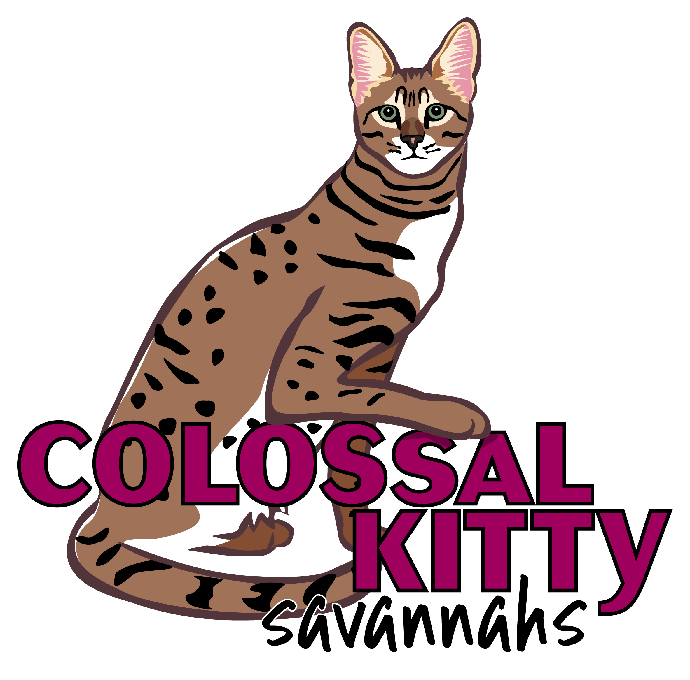 Various Cattery Logos - 普象网