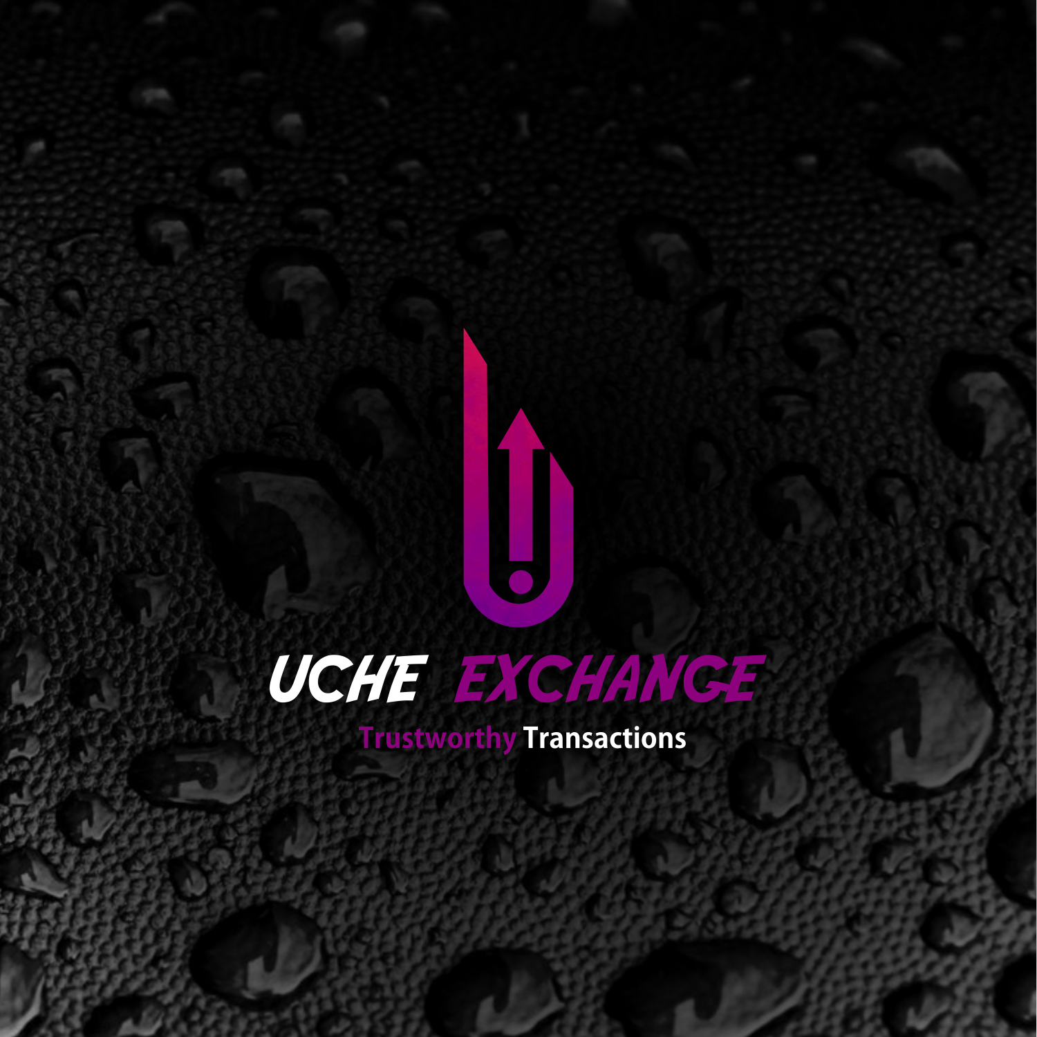 UCHE EXCHANGE BRAND DESIGN - 普象网