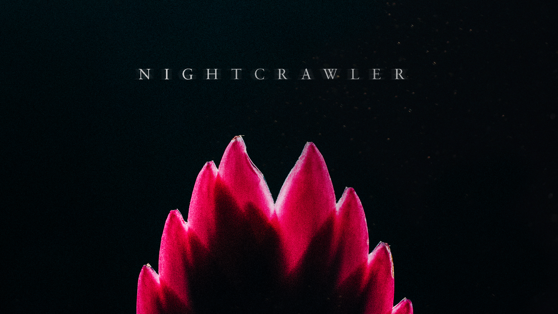 NIGHTCRAWLER : Title Sequence - 普象网