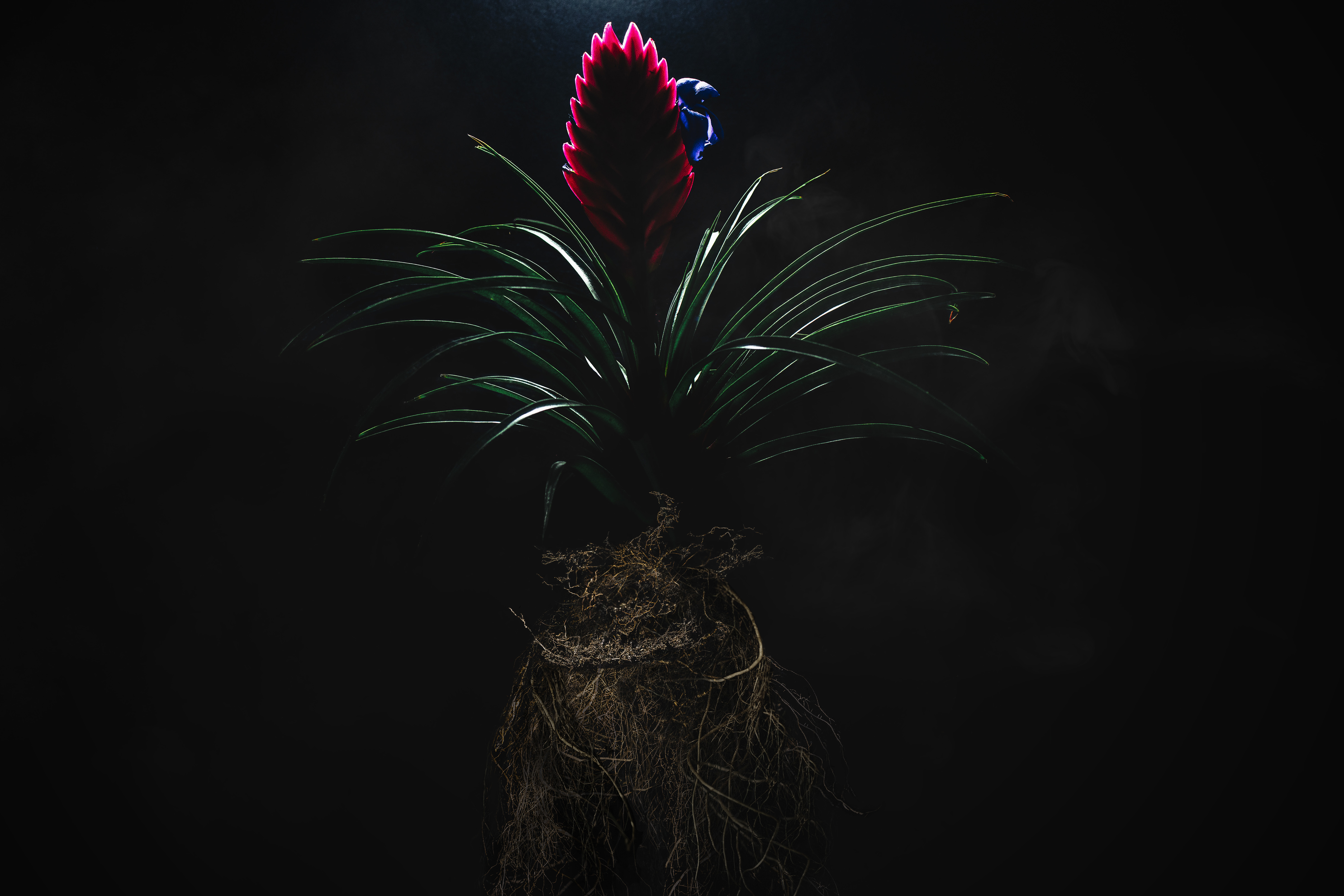 NIGHTCRAWLER : Title Sequence - 普象网