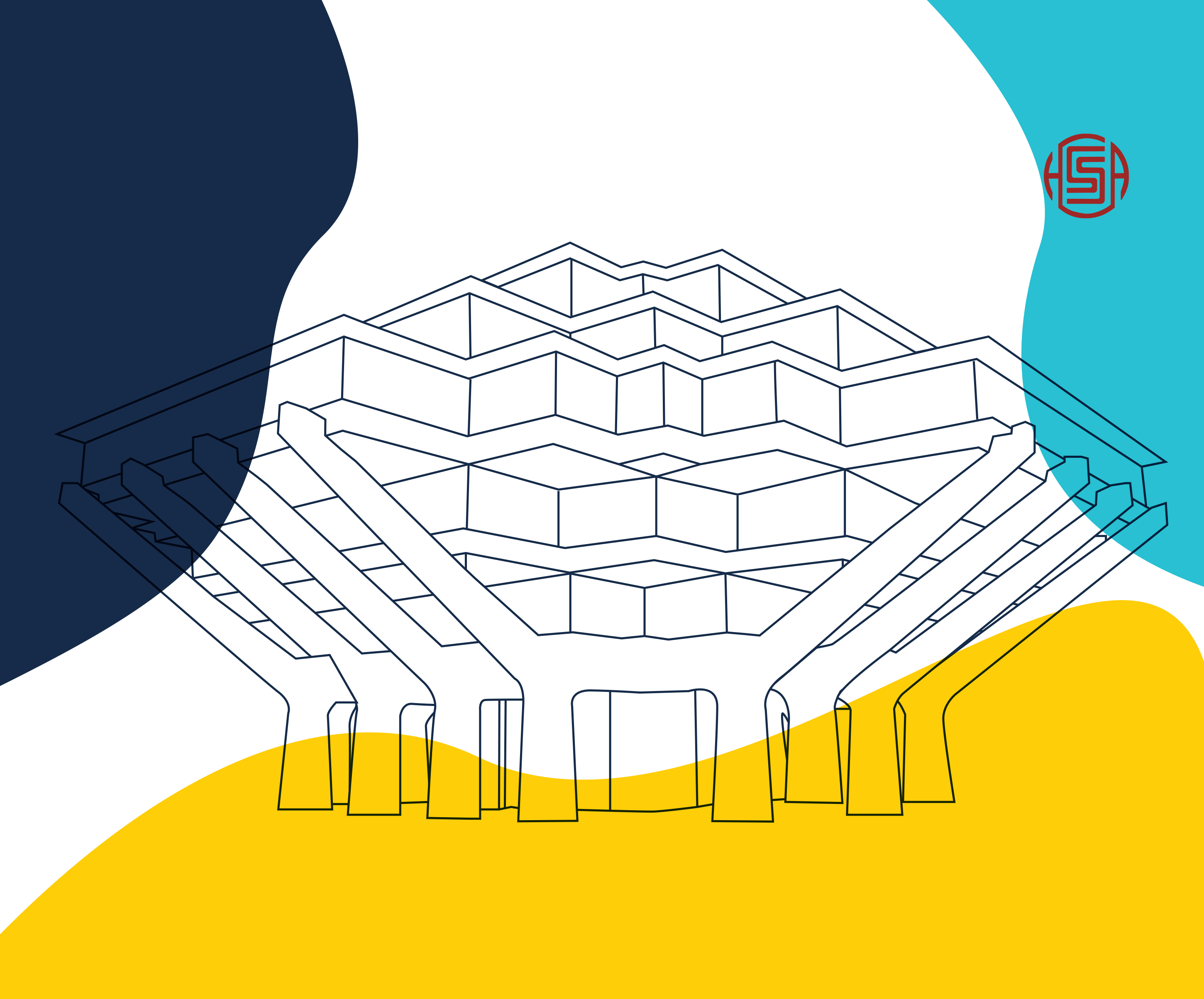 UCSD CSSA Tote Bag Design - 普象网