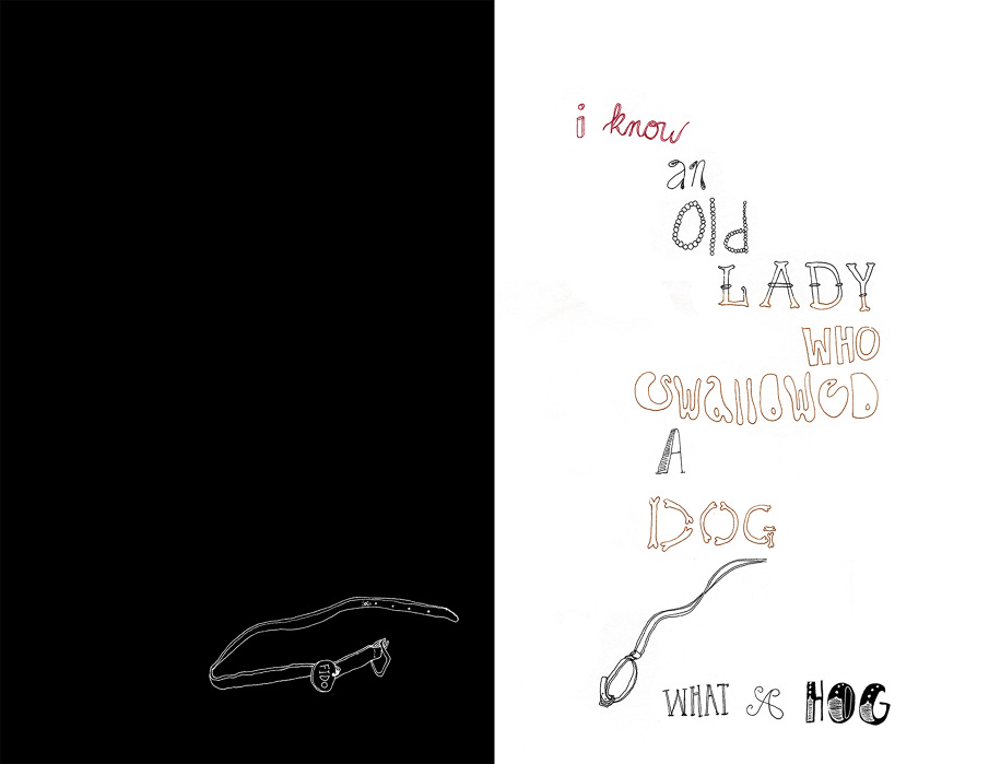 Old Lady who Swallowed a Fly - 普象网