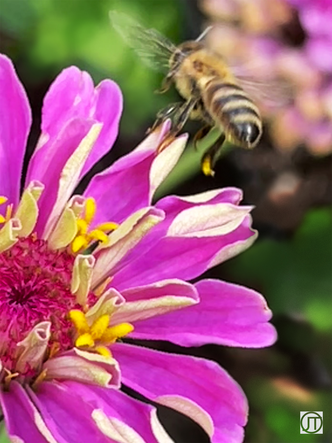 "When The Work Is Done" - 普象网