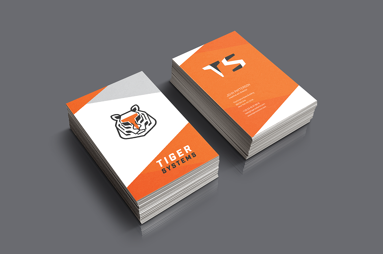 Tiger Systems Brand Identity - 普象网