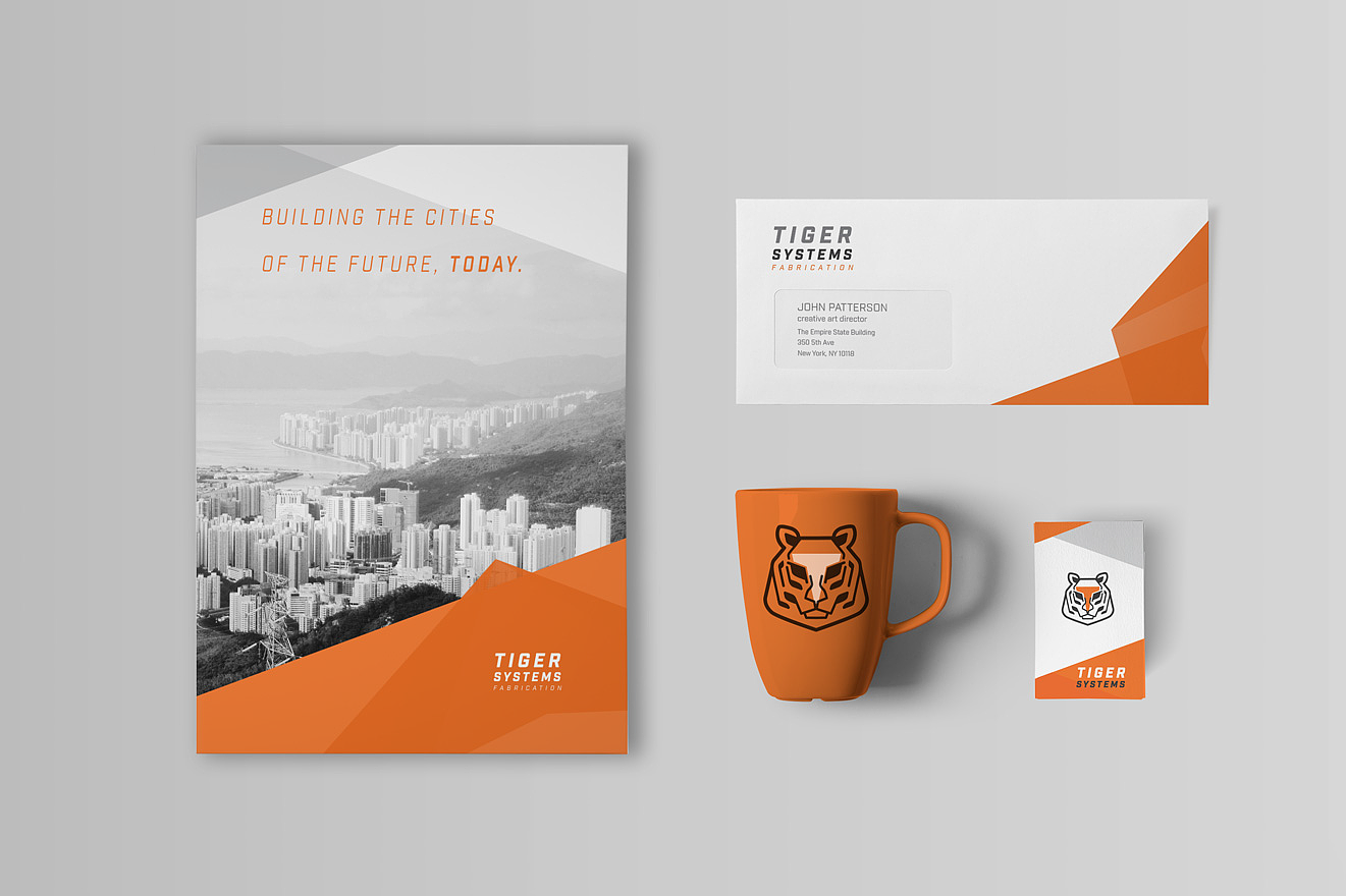 Tiger Systems Brand Identity - 普象网