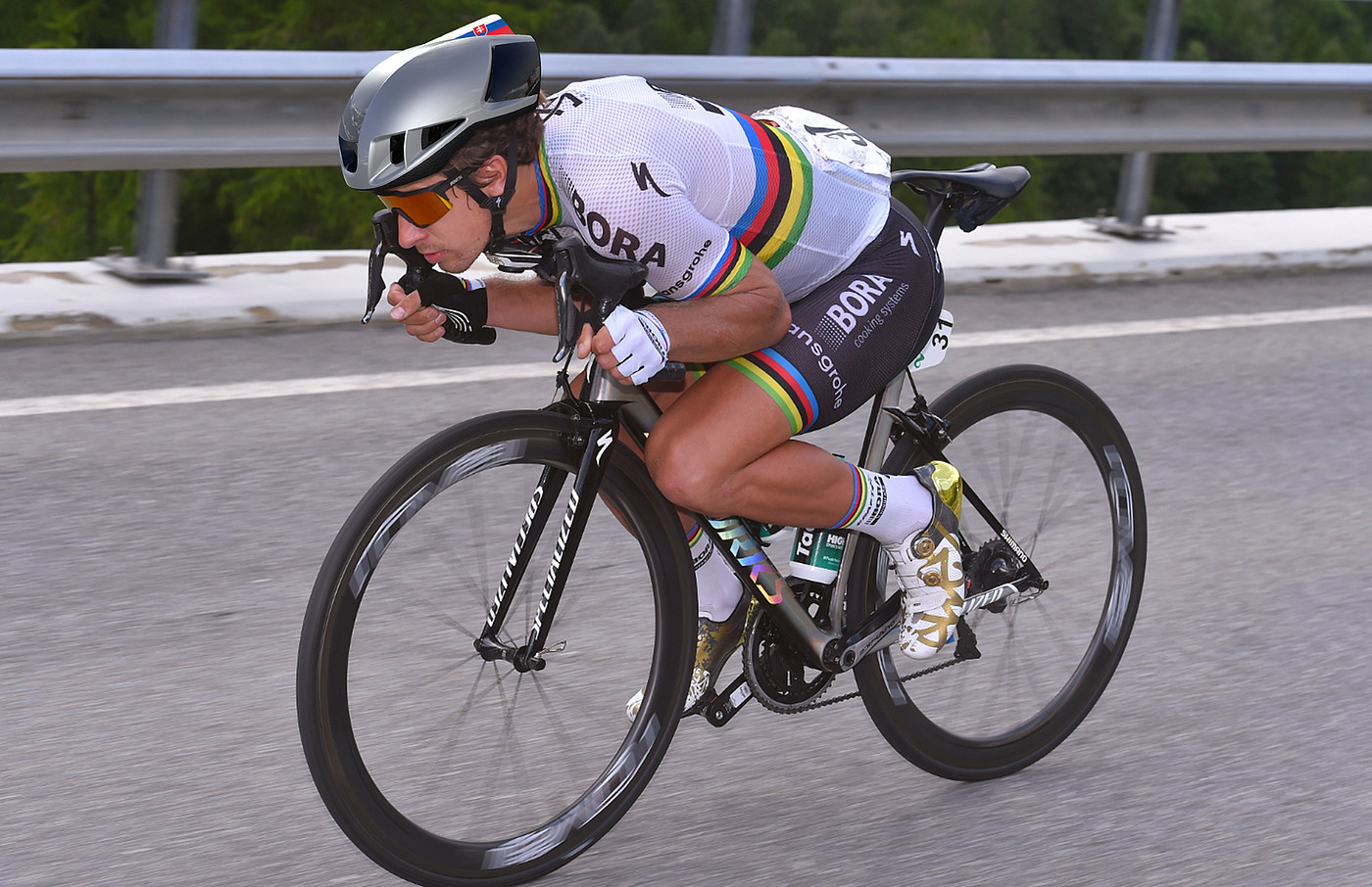 Road bike helmet (personal) - 普象网