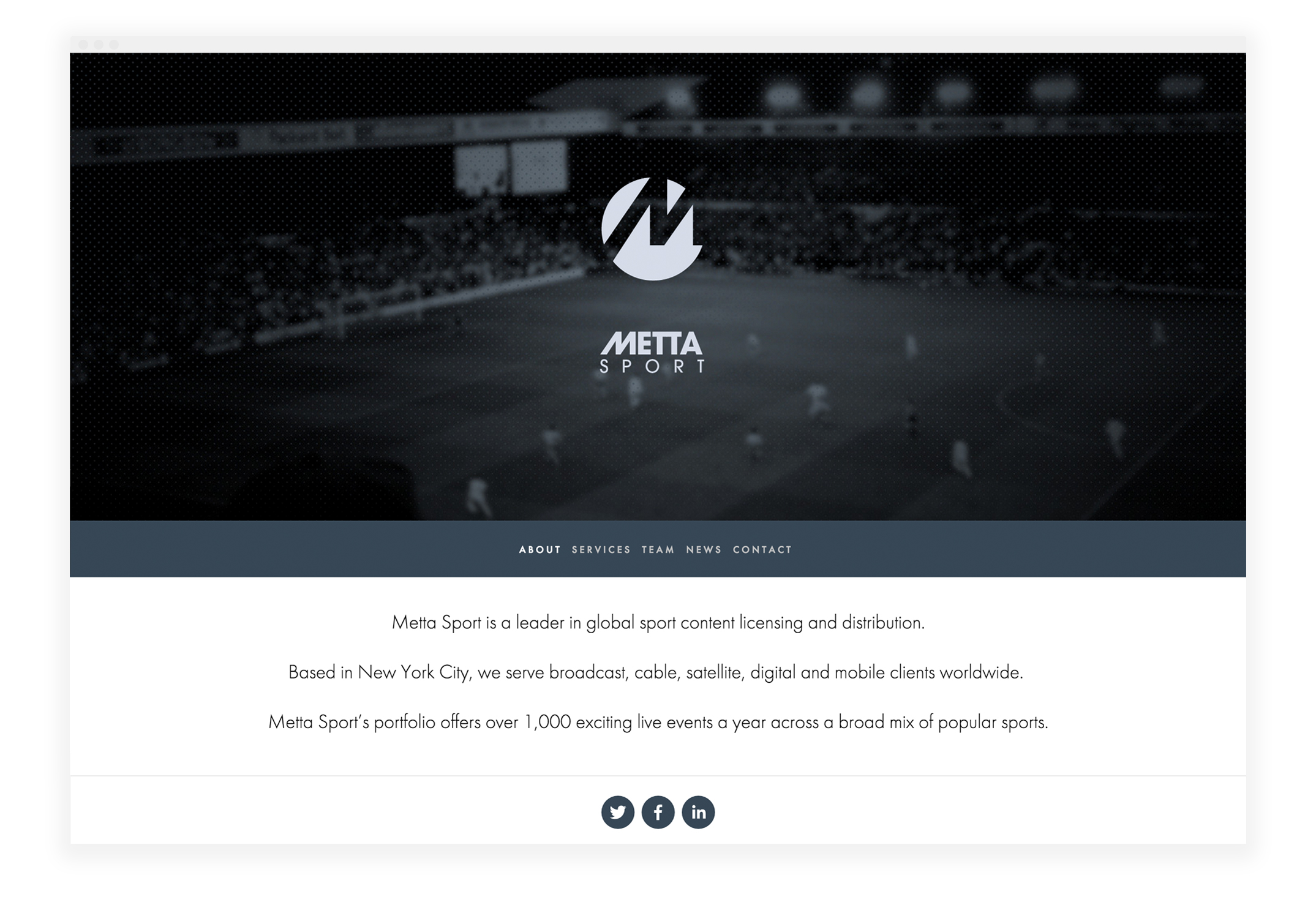MettaSport Logo & Website - 普象网