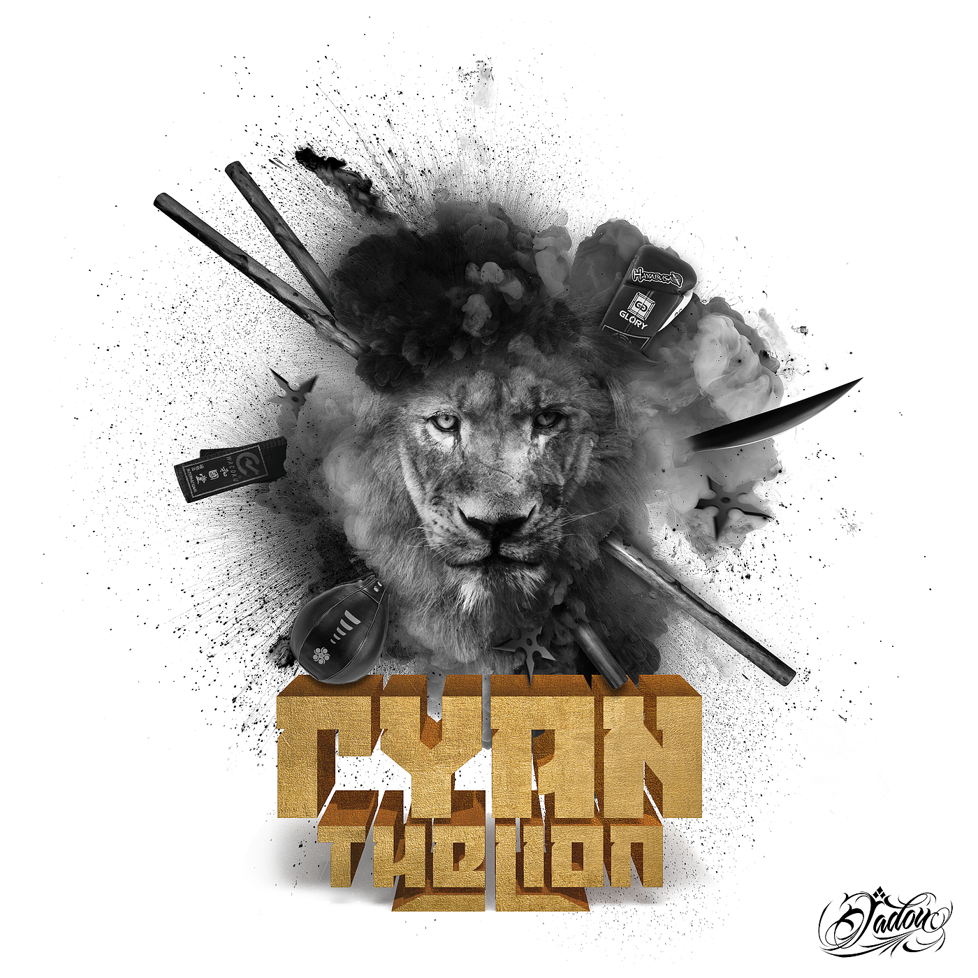 Ryan The Lion MMA Fighter - 普象网