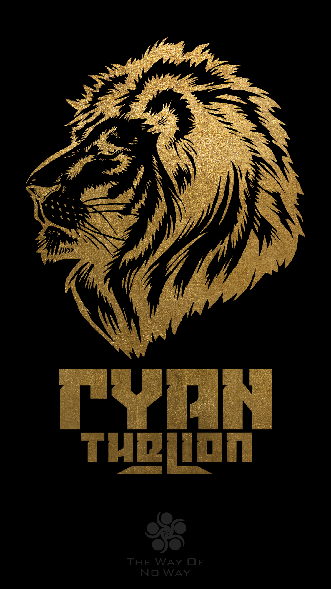 Ryan The Lion MMA Fighter - 普象网