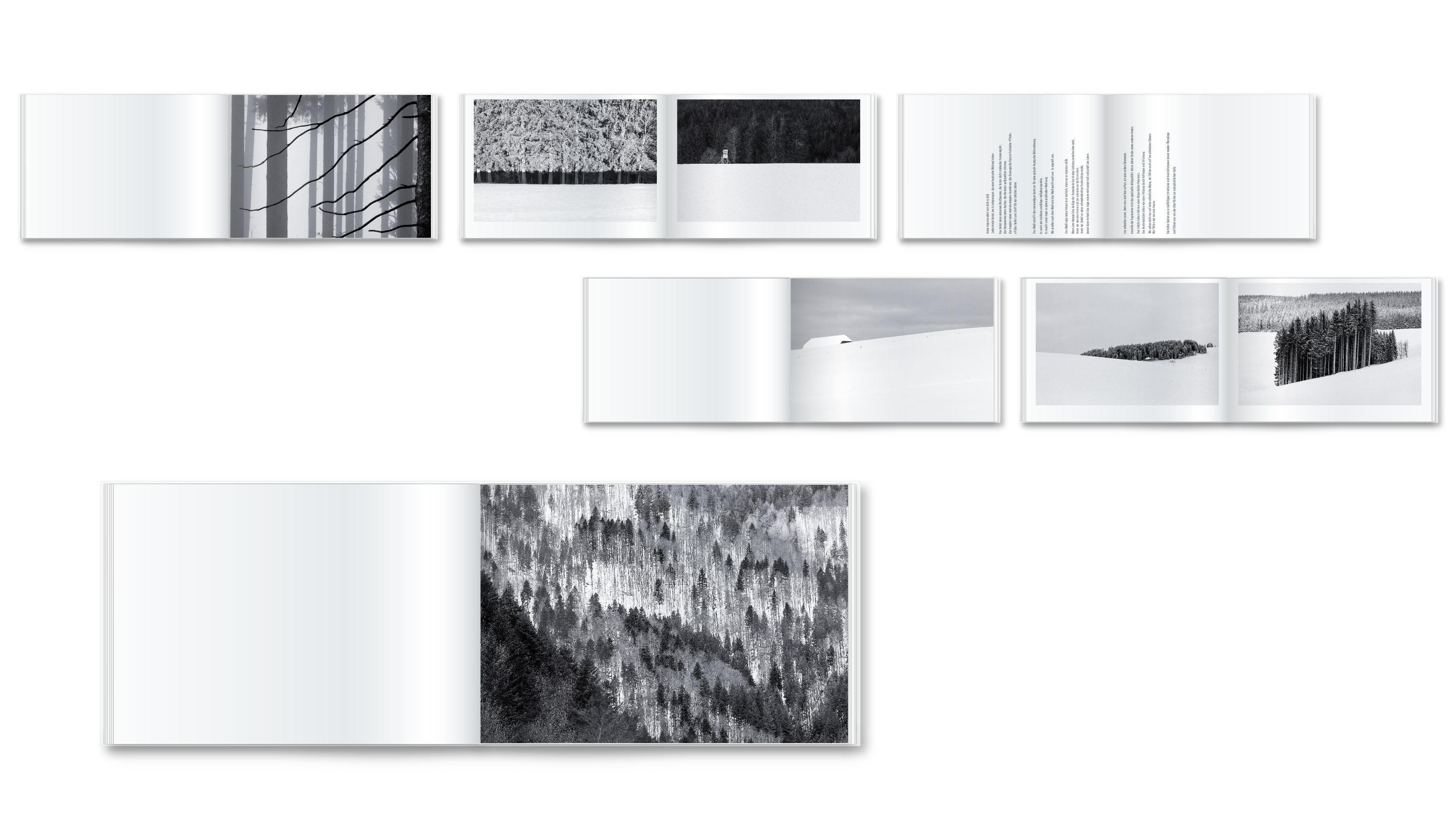 【2023年 iF设计奖】Schwarz.Wald.Weiß. - 普象网