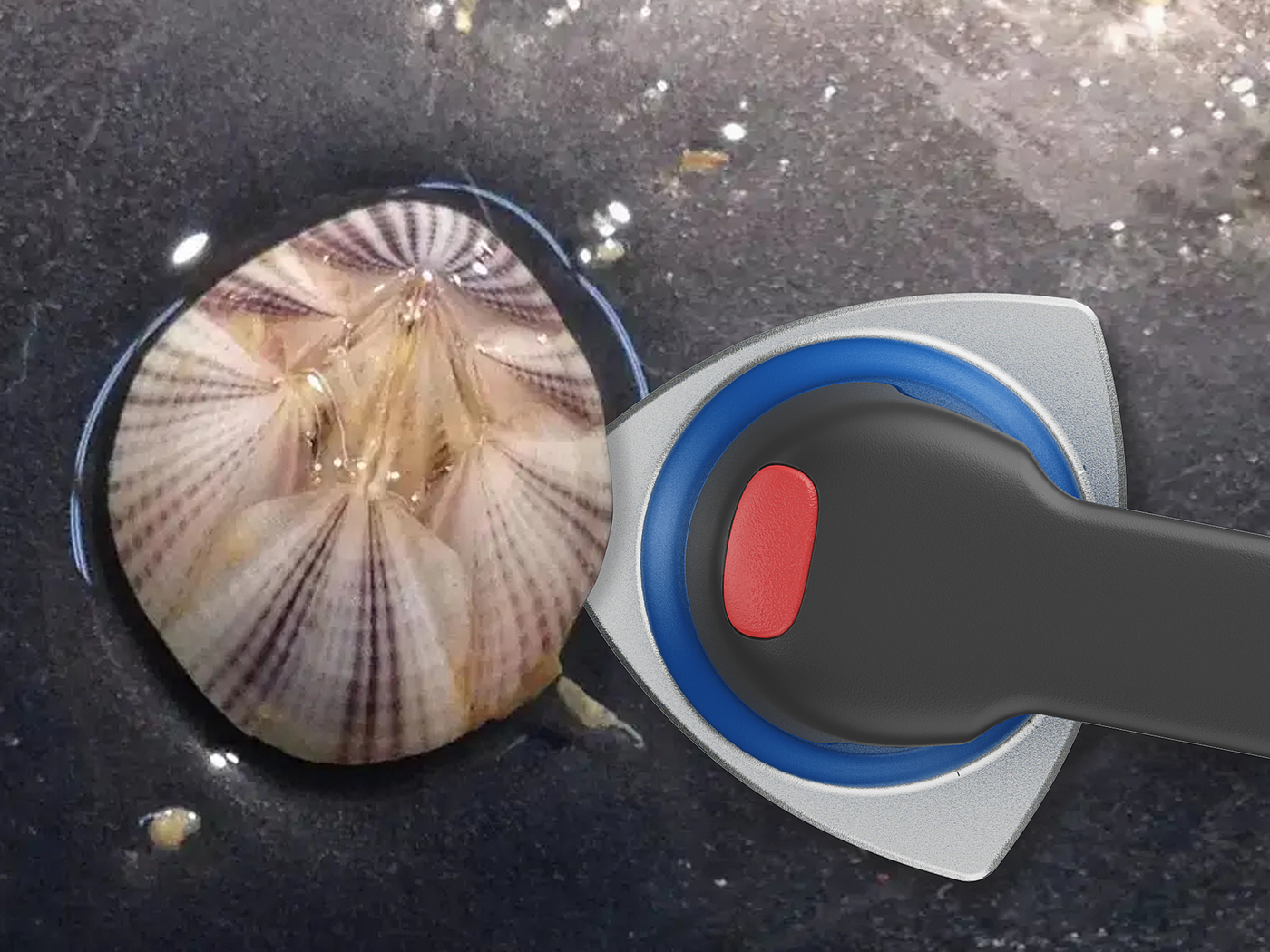 【2023年 iF设计奖】Barnacle Remover - 普象网