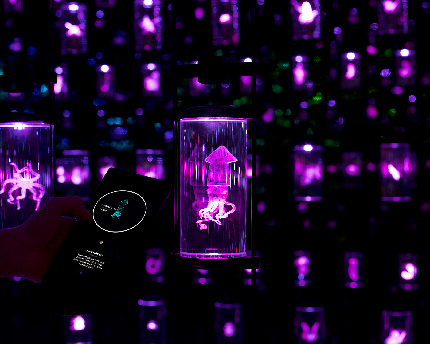 【2023年 iF设计奖】MUSEUM OF THE FUTURE - 普象网