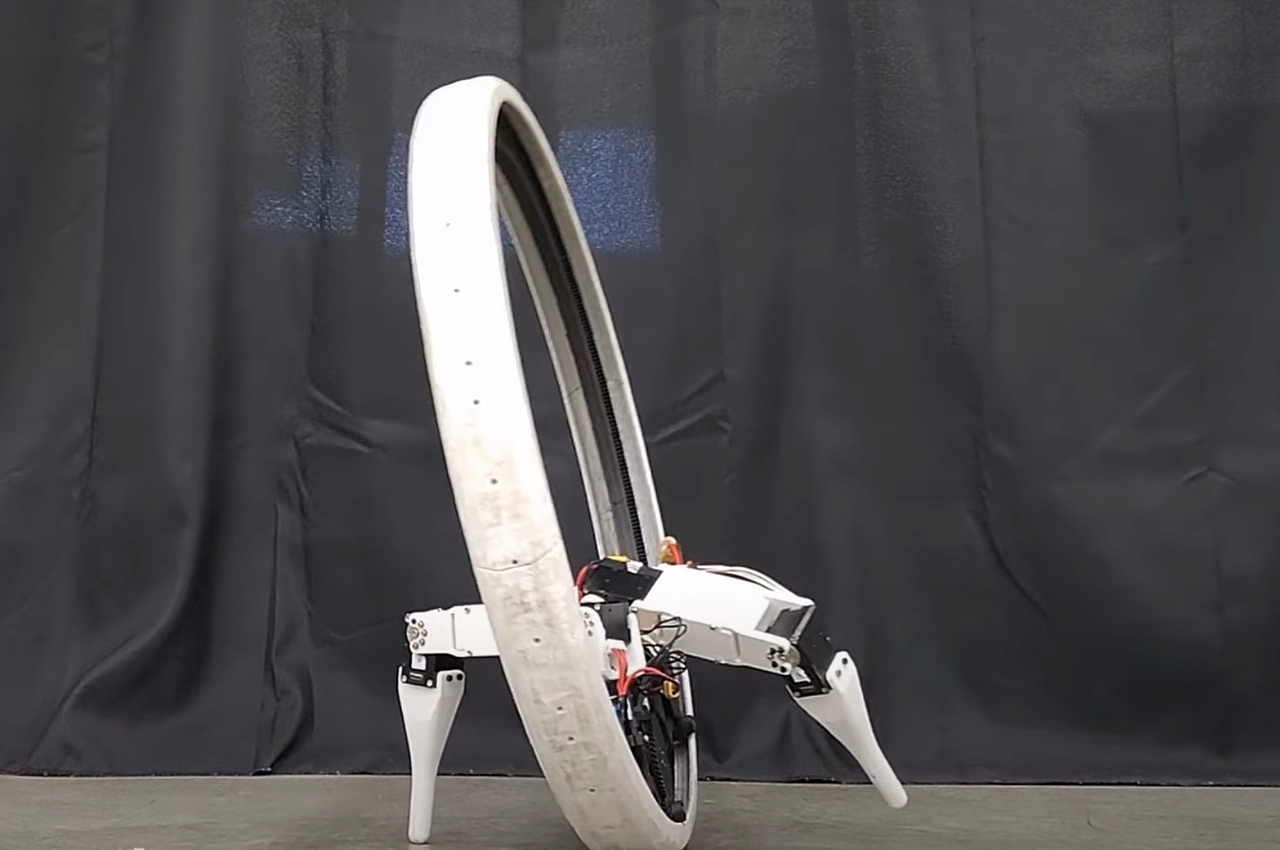 Ringbot人工智能机器人，助力物流运输最后一公里！ - 普象网