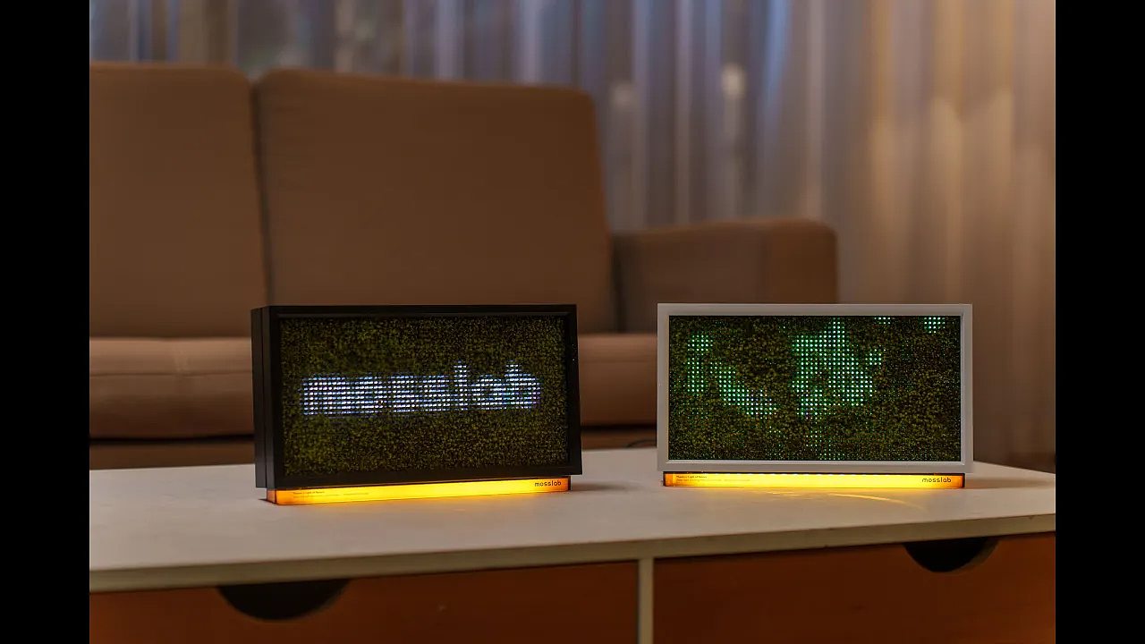 使用 MOSS ECHO 体验纯净的声音和新鲜空气 - 普象网