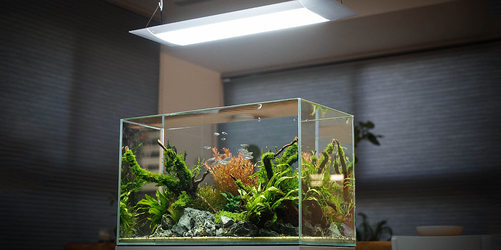 【2016 红点奖】FLAT ONE/鱼缸照明系统 - 普象网